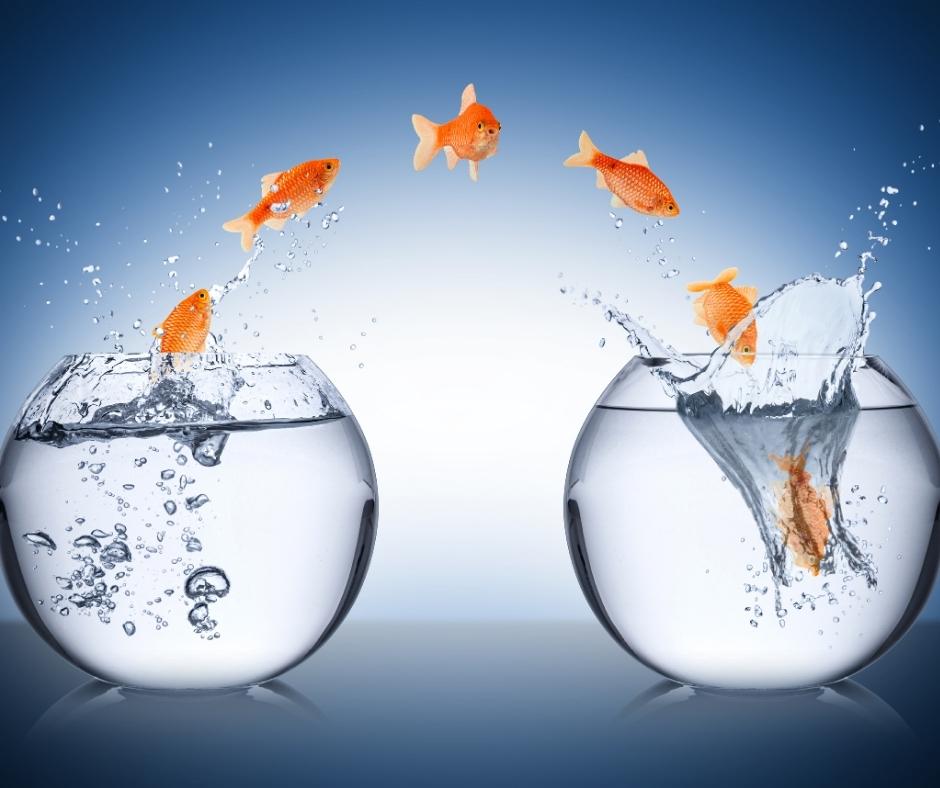 300 câu nói hay về sự thay đổi đầy ý nghĩa, giúp bạn ngày càng hoàn ...