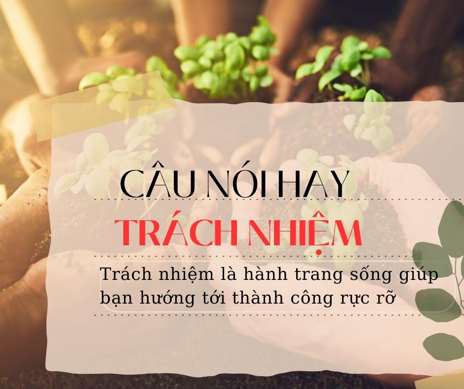 249+ câu nói về trách nhiệm ý nghĩa nhất: hành trang sống giúp bạn hướng tới thành công rực rỡ ...