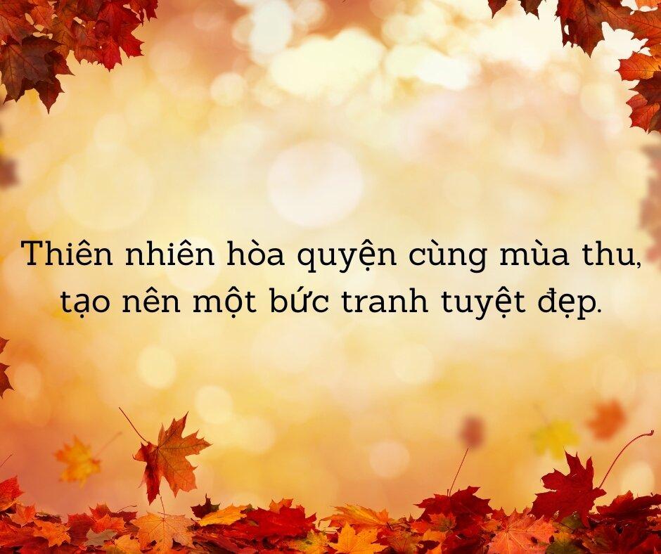 Những câu nói về mùa thu hài hước - StarTV