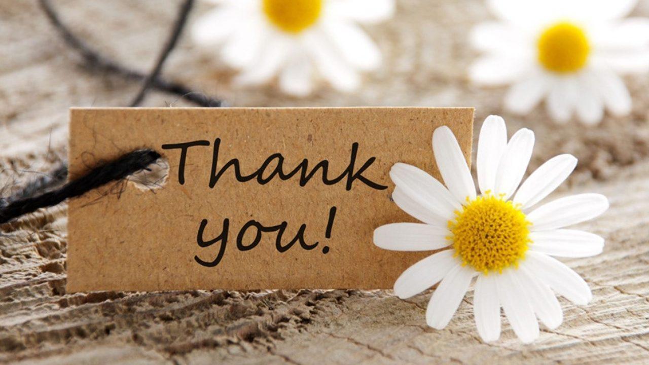 200+ lời cảm ơn hay, chân thành nhất: Cảm ơn bạn đã nỗ lực sống! - Độc ...