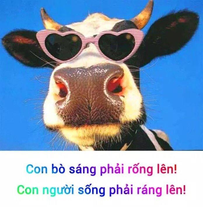 500+ cap đặt tiểu sử FB hay chất ngất giúp profile thêm ngàn likes ...