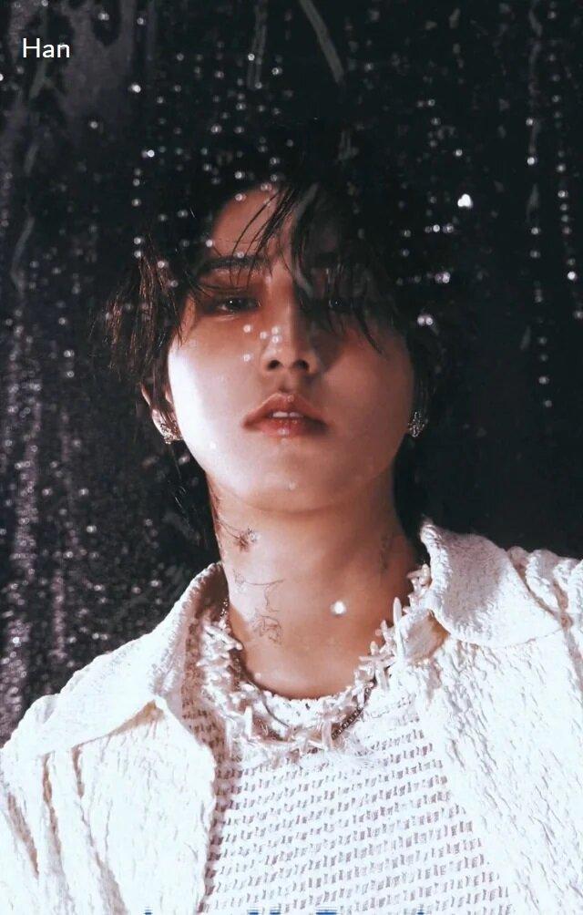 Profile Stray Kids - Hồ sơ nhóm nhạc Stray Kids - thông tin thành viên ...